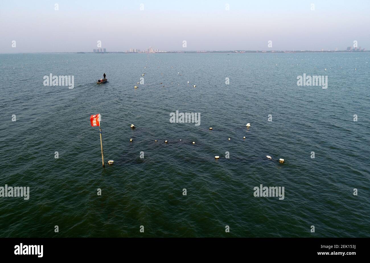 SUQIAN, CHINA - APRIL 28, 2020 - Farmers arranged net cages on Luoma ...