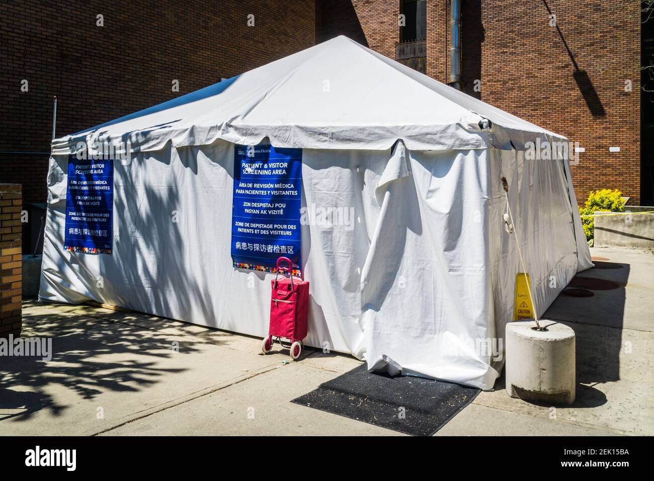 NYC Health and Hospital/Gotham Health Belvis Covid-19 walk-in testing ...