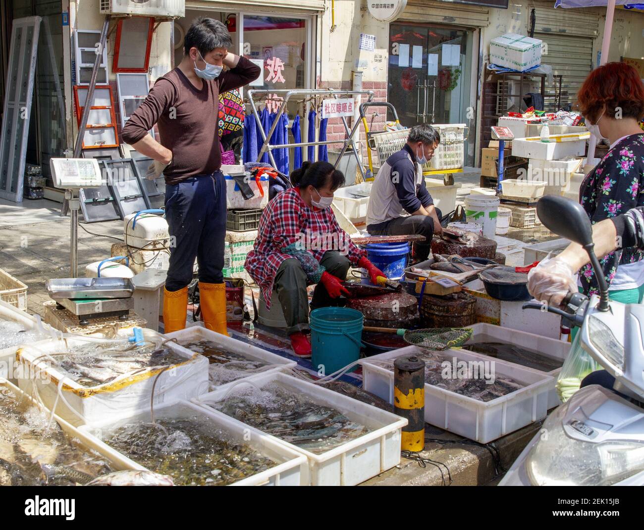 Vendors sell shrimp and fish at a market in Wuhan city, south China's ...