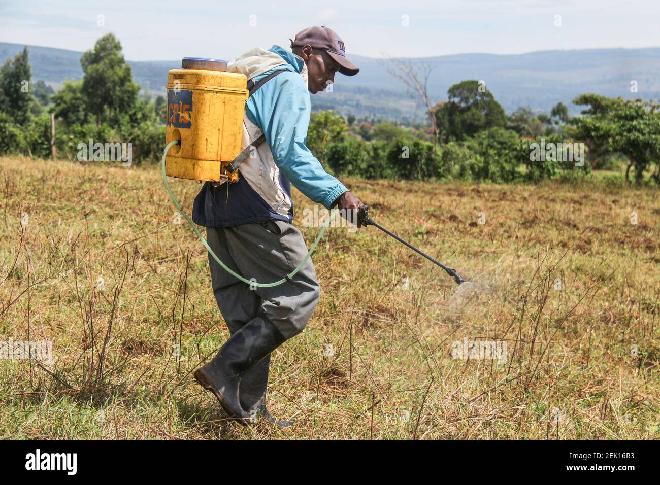 A man spraying herbicides at a farm without recommended protective gear ...