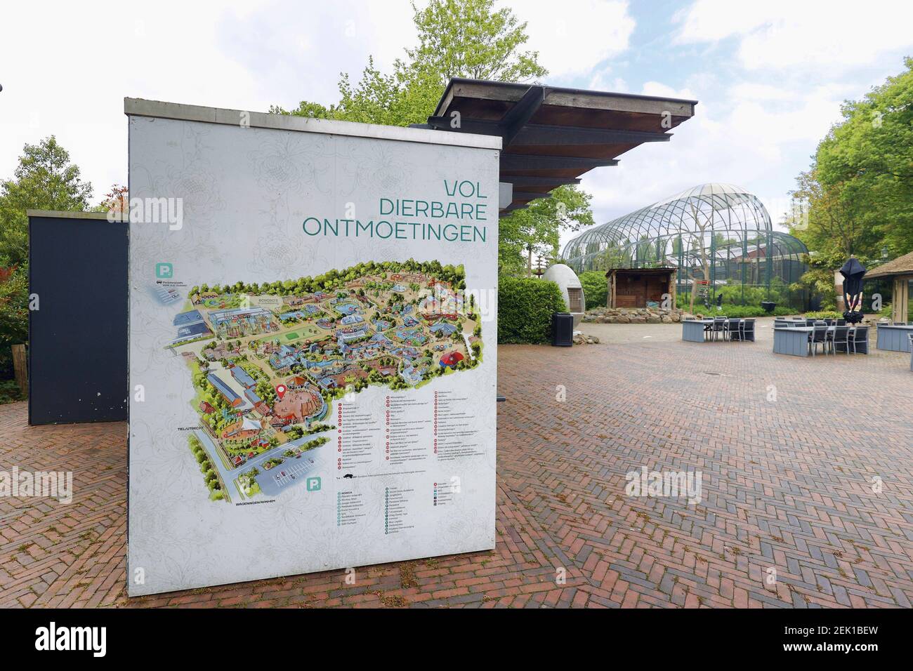 RHENEN, 02-05-2020 Ouwehands Dierenpark . Dutch Zoo , dierenpark ...