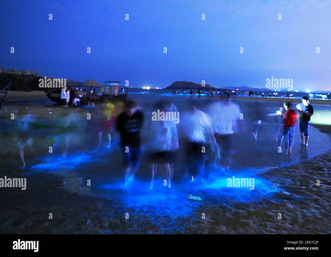 Sea sparkles, which is academically known as Noctiluca scintillans ...
