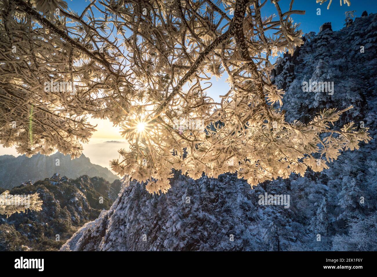 --FILE--The view of Huangshan Mountain, a mountain range well known for its various sceneries ...