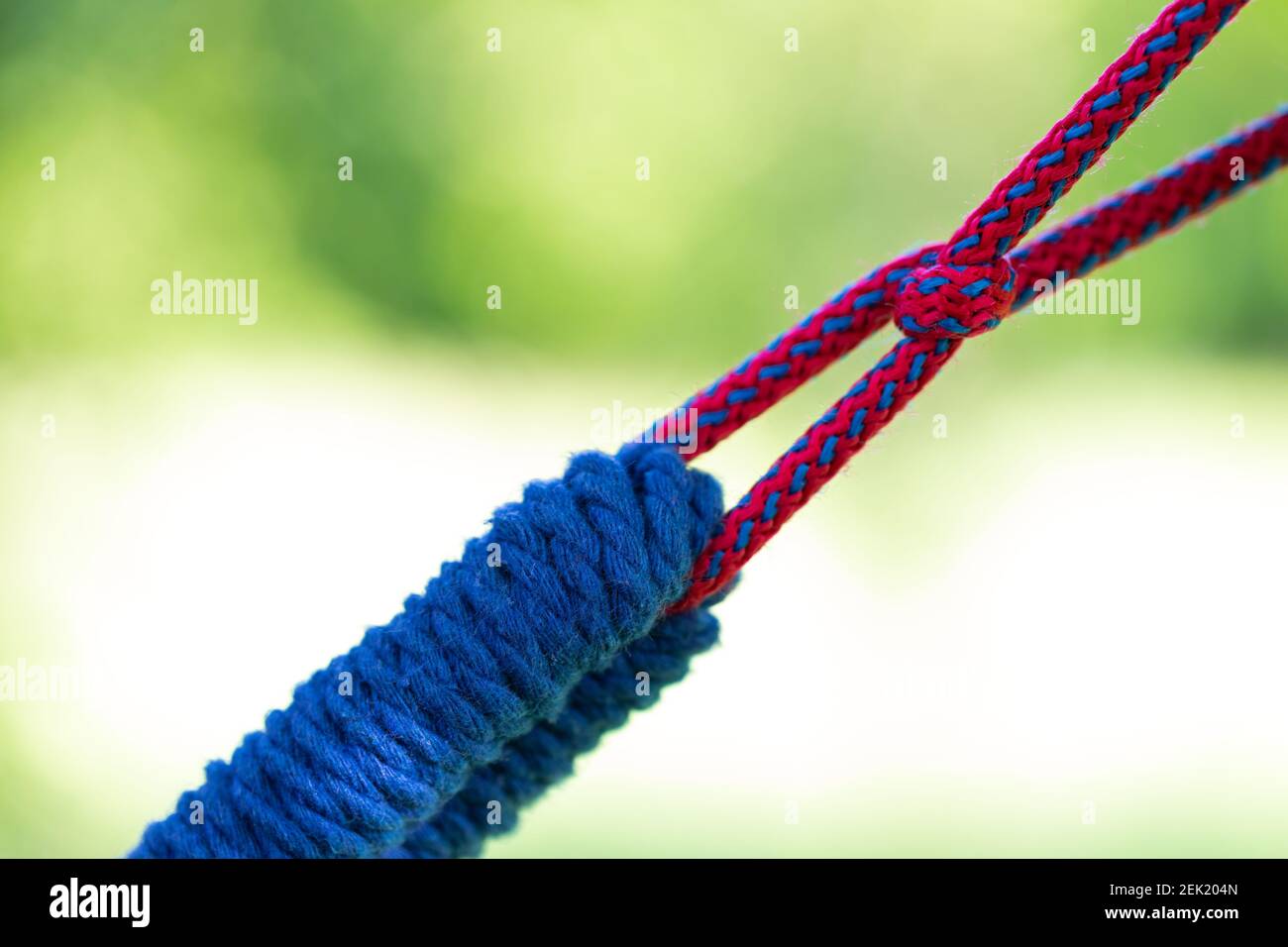 Rope hammock hanging on a tree in a backyard Stock Photo - Alamy