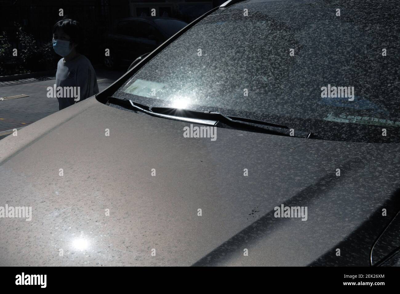 View of the mud spot caused by the "mud rain" on a car windshield in ...