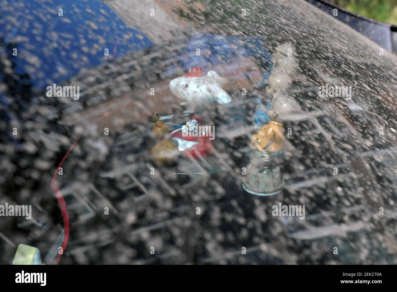 View of the mud spot caused by the "mud rain" on a car windshield in ...