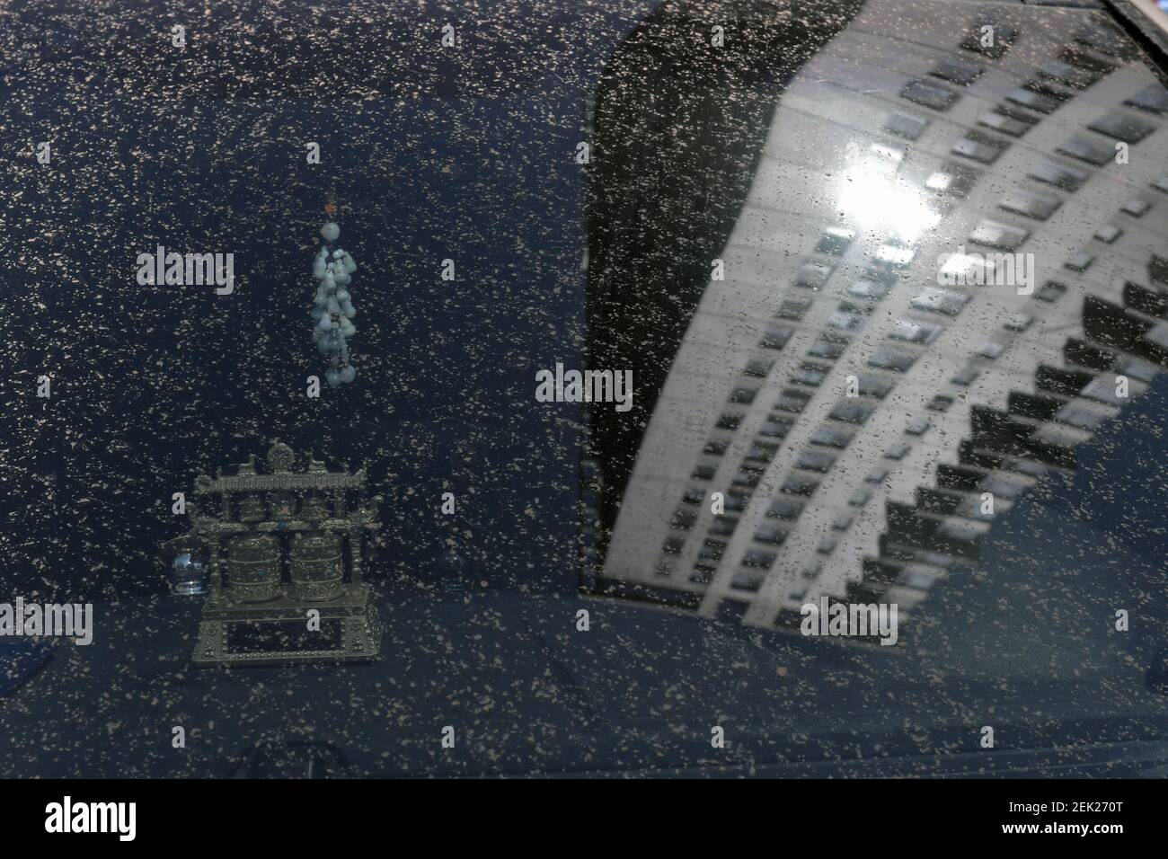 View of the mud spot caused by the "mud rain" on a car windshield in ...