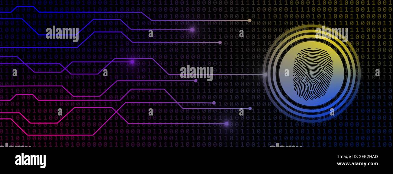 Fingerprint logo with information connecting lines on binary code ...