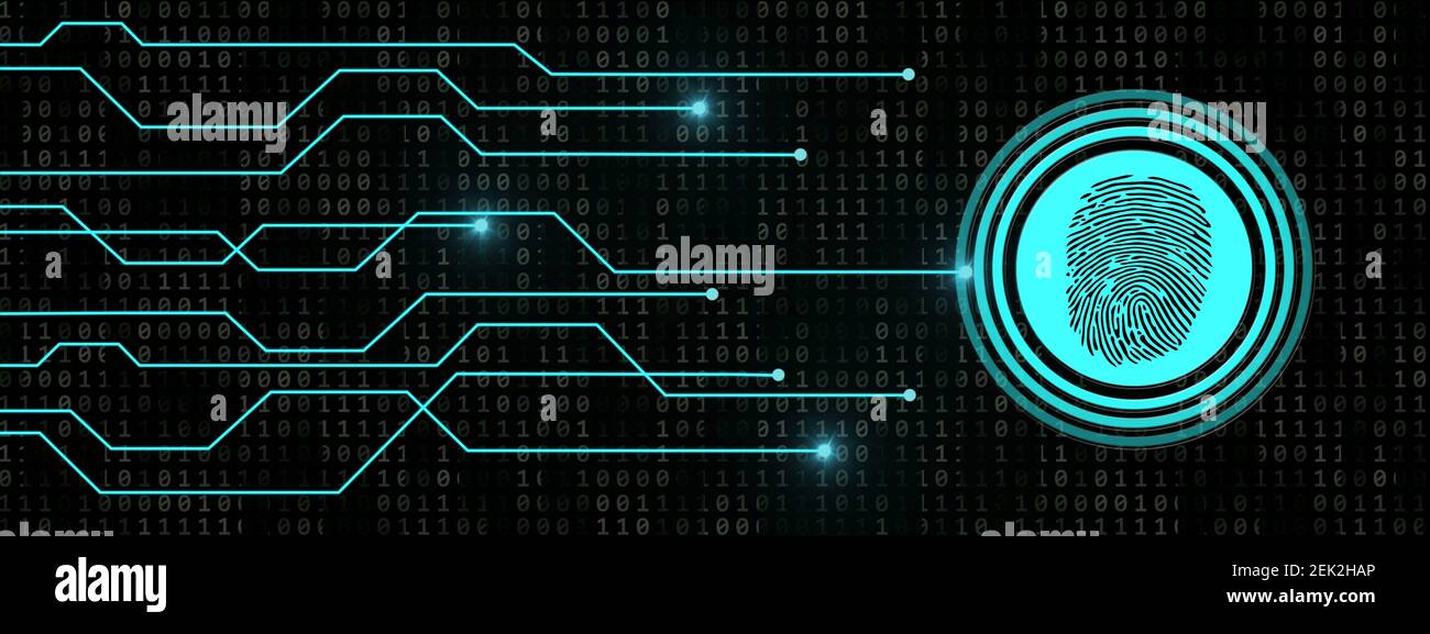 Fingerprint logo with information connecting lines on binary code ...