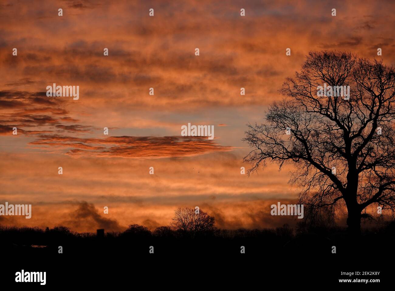 Tuesley Farm, Godalming. 23rd February 2021. A beautiful start to the ...