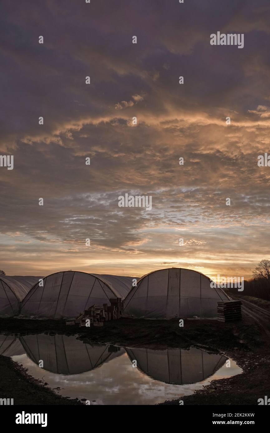 Tuesley Farm, Godalming. 23rd February 2021. A beautiful start to the ...