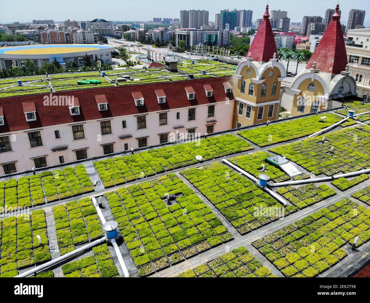 Aerial view of the "roof garden" built on a student dorm building in ...