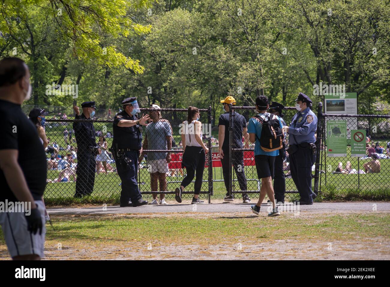 NYPD officers regulate entrance to the Sheep Meadow in Central Park in ...