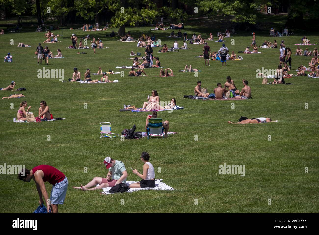 Visitors to the Sheep Meadow in Central Park in New York on Saturday ...
