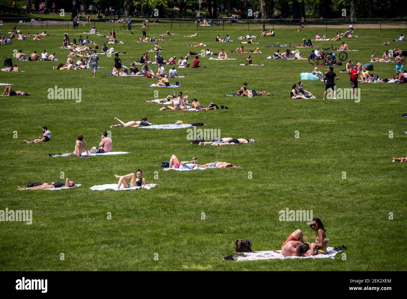 Visitors to the Sheep Meadow in Central Park in New York on Saturday ...