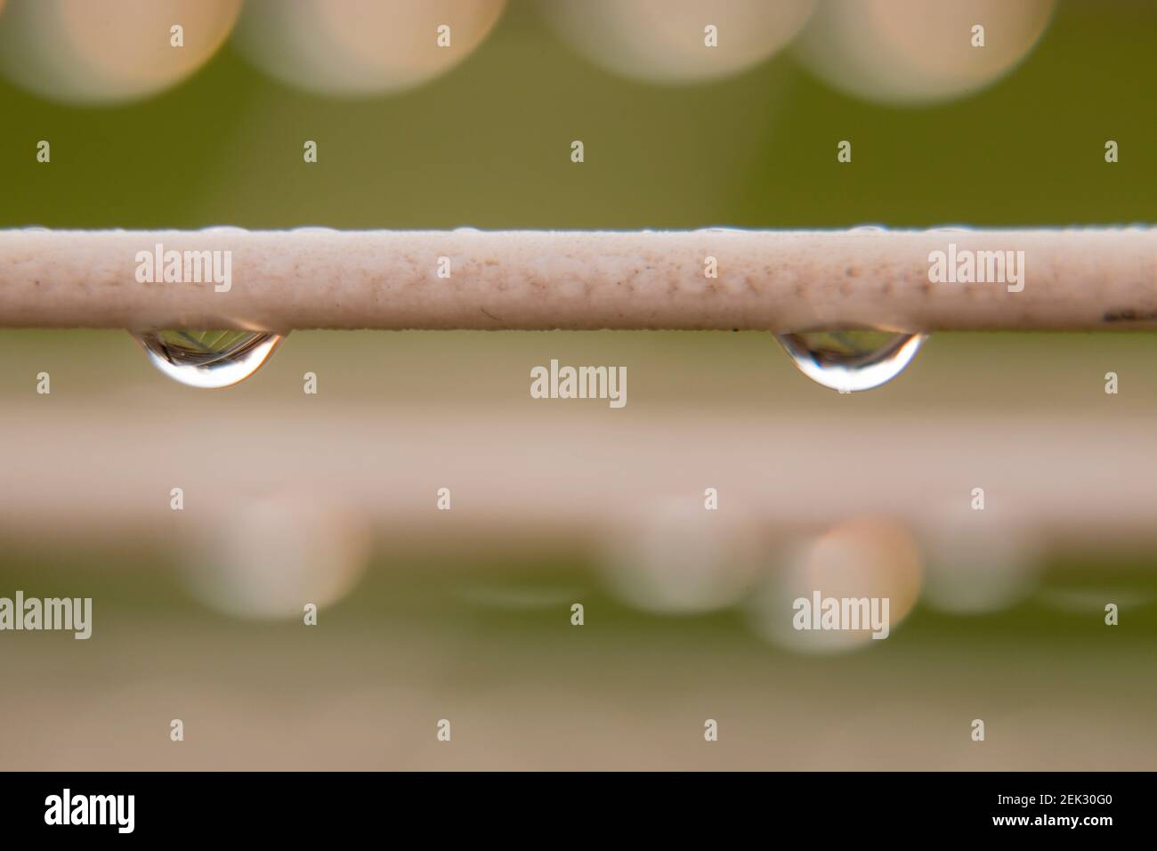 Two water drops on white washing line Stock Photo - Alamy