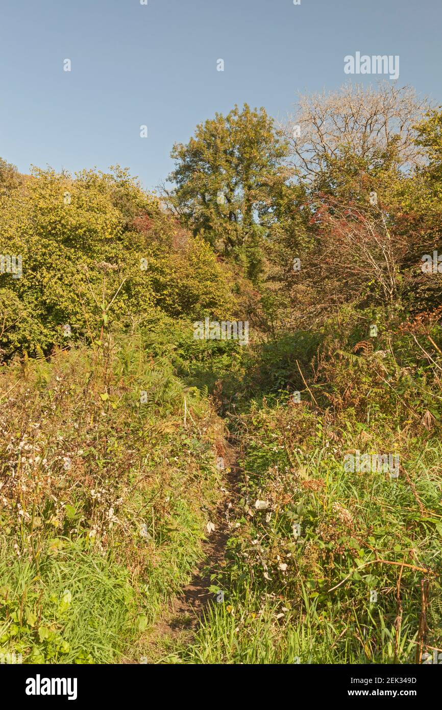 Walking gower peninsula hi-res stock photography and images - Alamy