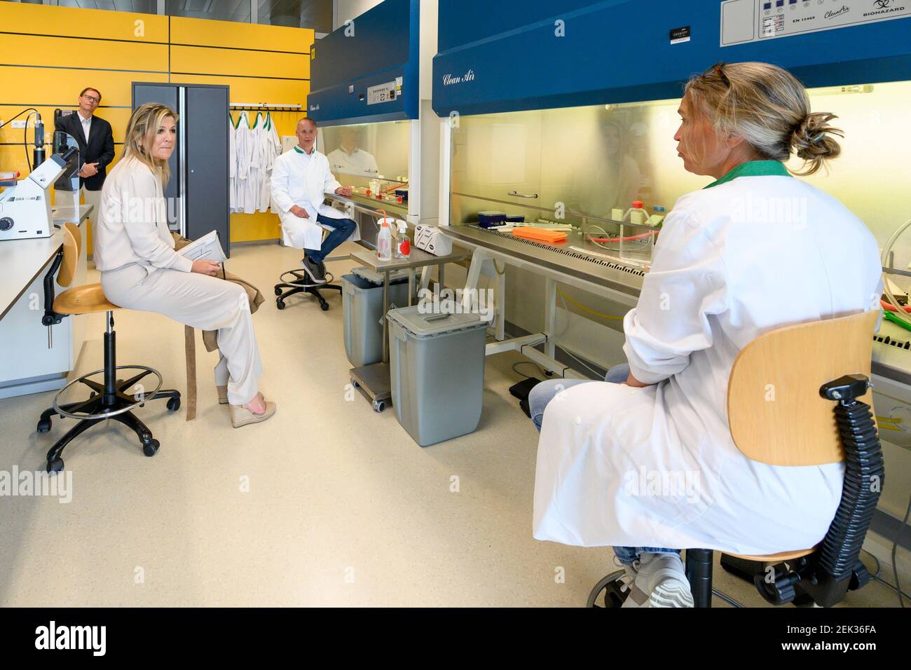 Queen Maxima during a working visit to the Leiden University Medical ...