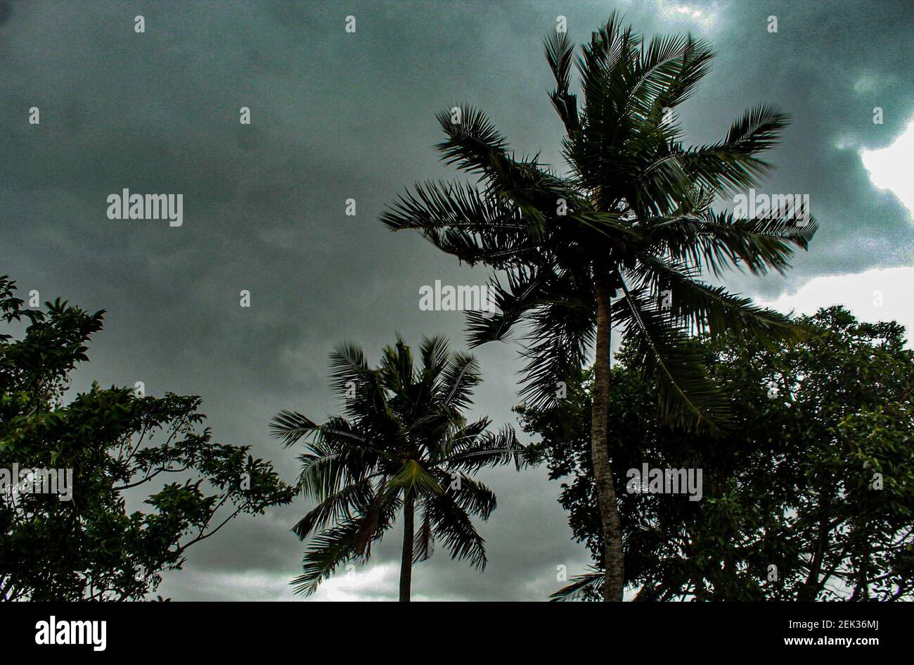 Super cyclone Amphan storm around today's afternoon as it moves north ...