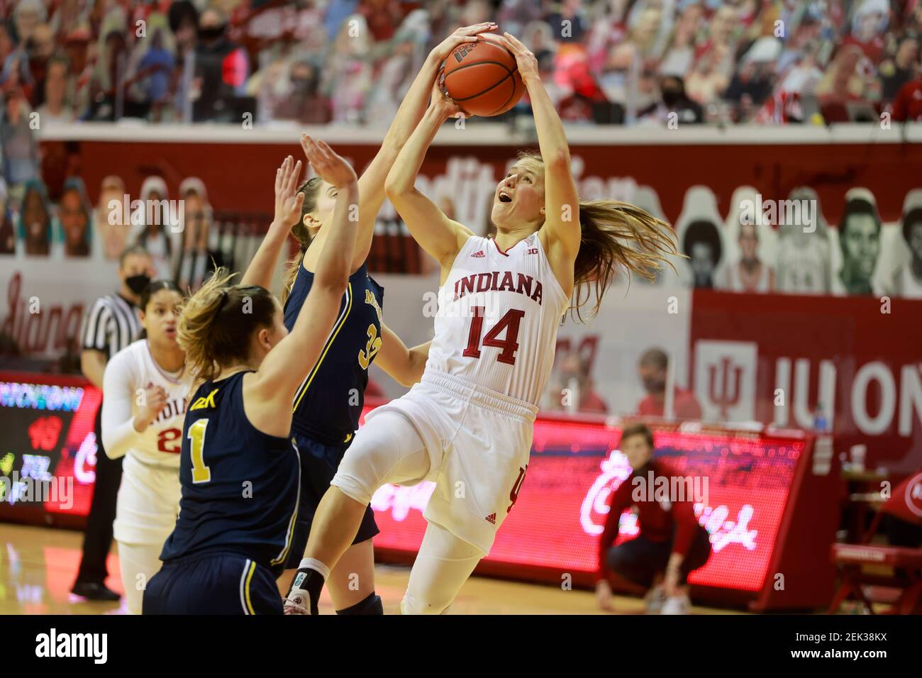 Leigha hi-res stock photography and images - Alamy