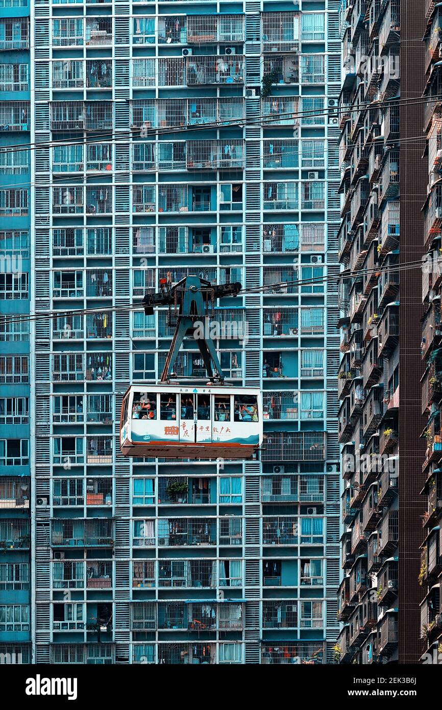 Chinese photographer Zhou Zhiyong spent 12 years capturing the magical ...
