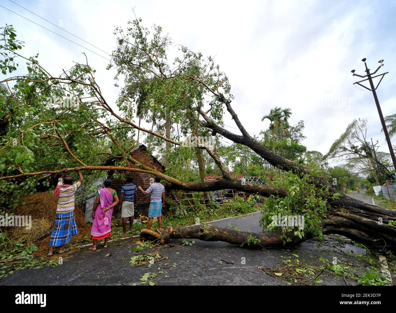 Men clearing a broken tree and an electric pole from the road during ...