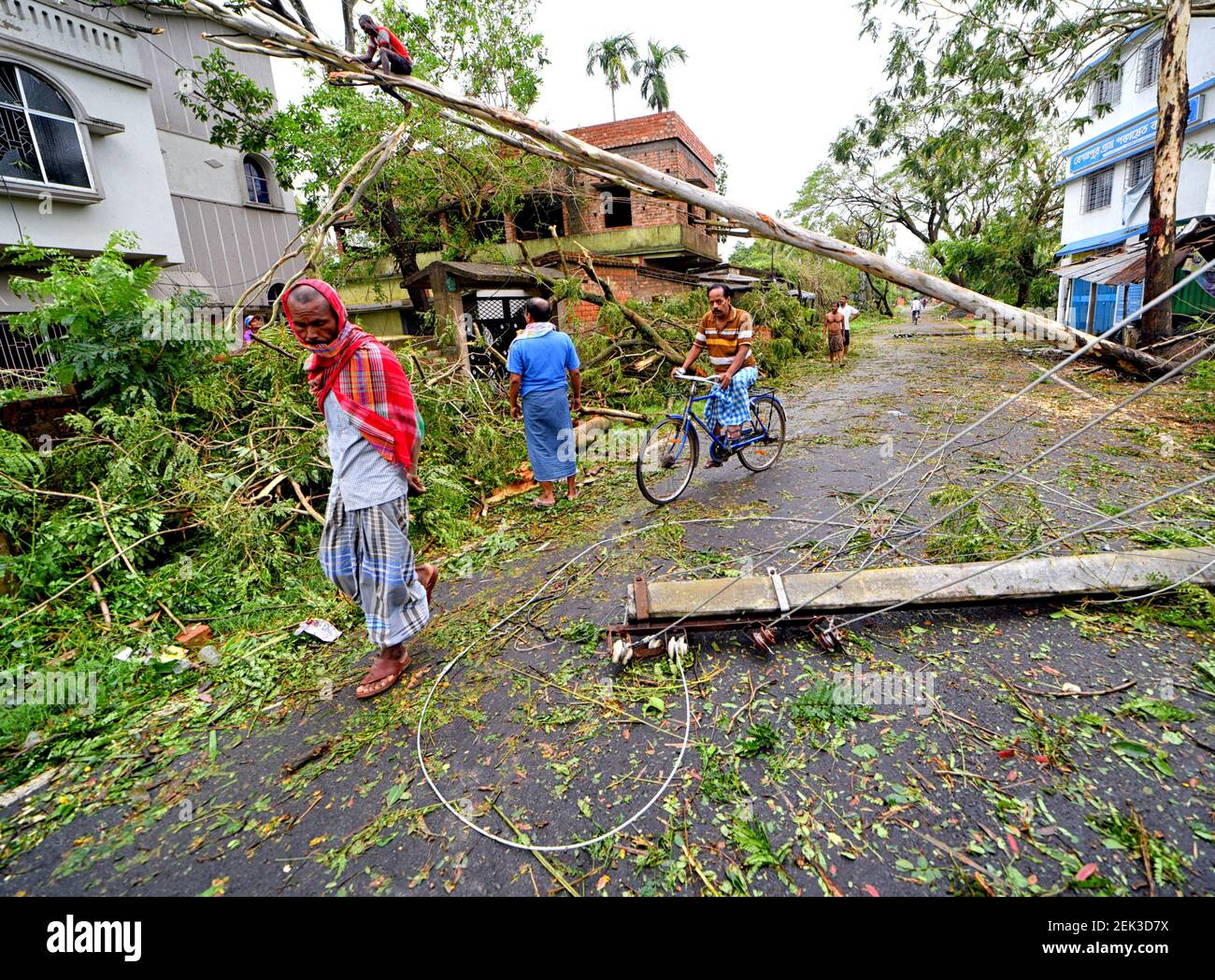 People walk through broken trees and poles during the aftermath ...