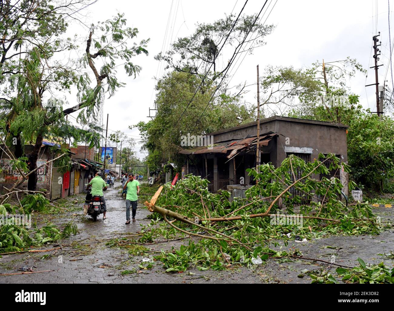 People walk through broken trees and poles during the aftermath ...