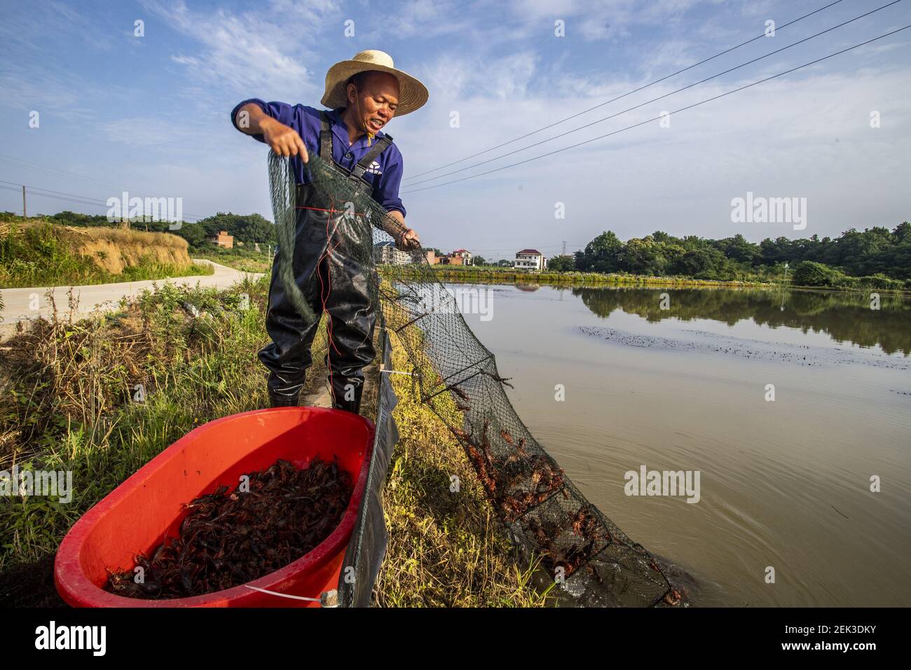 A fishman is busy catching shrimp in a river in Hukou county, Jiujiang ...
