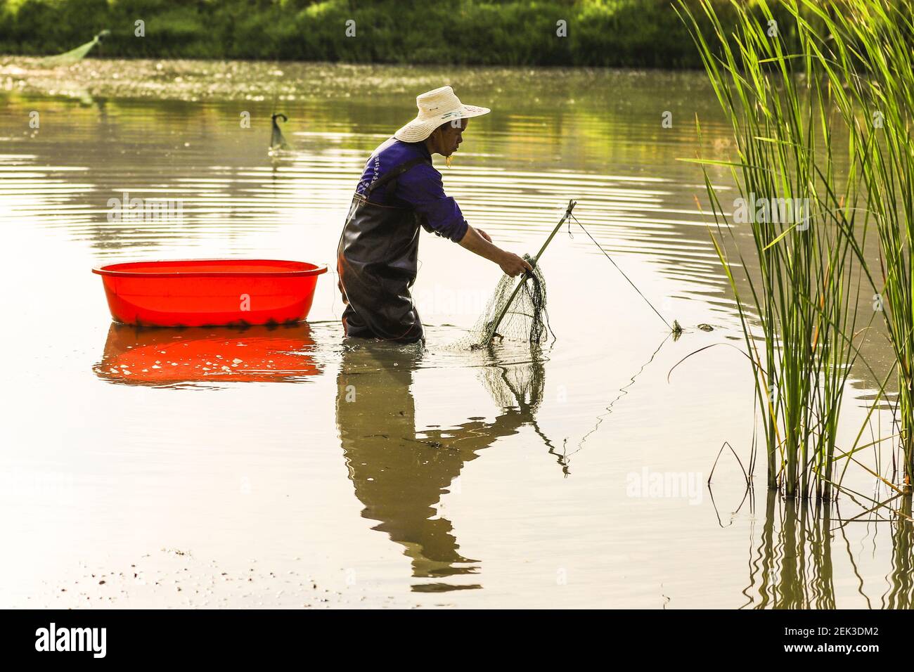 A fishman is busy catching shrimp in a river in Hukou county, Jiujiang ...