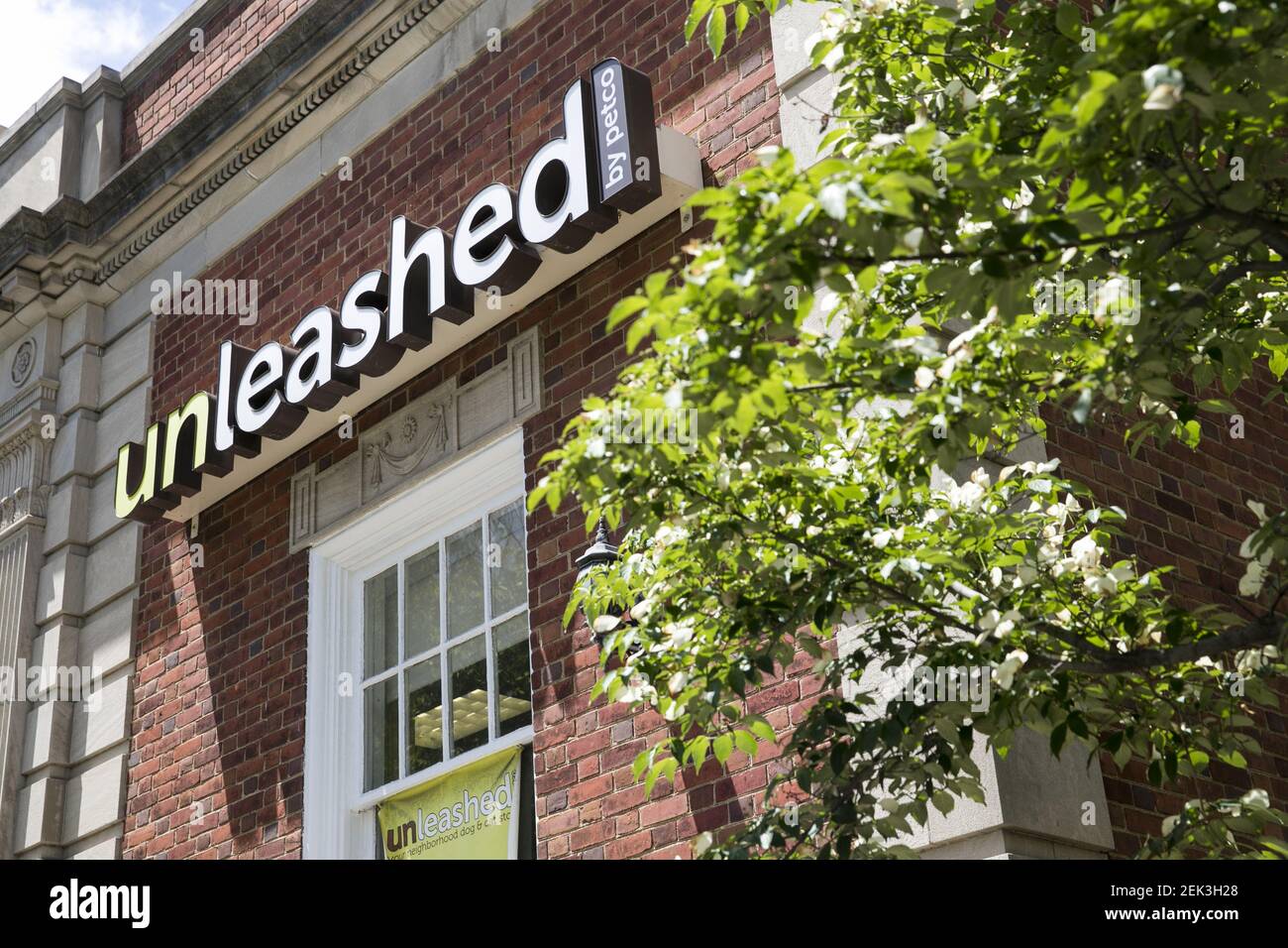 Unleashed By Petco Logo