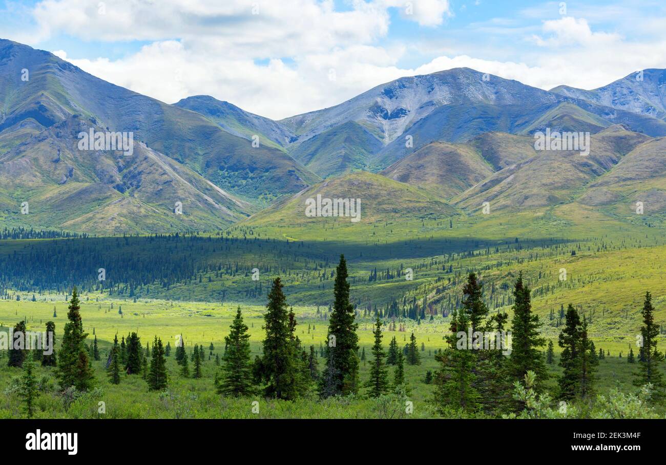 Picturesque Mountains of Alaska in summer. Snow covered massifs ...