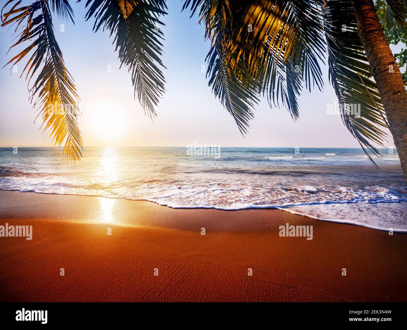 Beautiful tropical beach sunset palm hi-res stock photography and ...