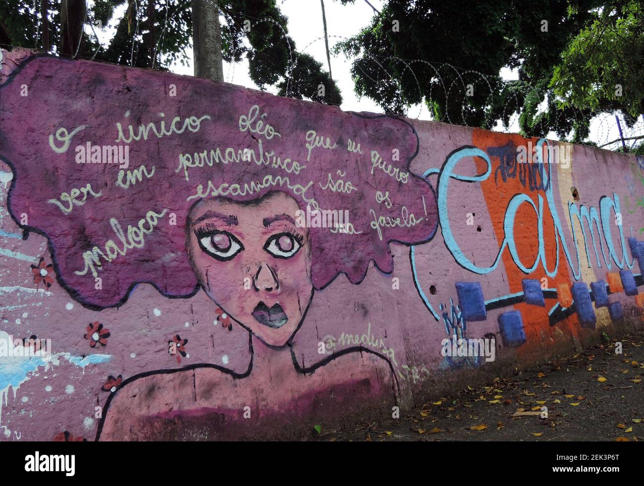 RECIFE, PE - 26.05.2020: GRAFITE NAS RUAS DO RECIFE - Graffiti is a ...