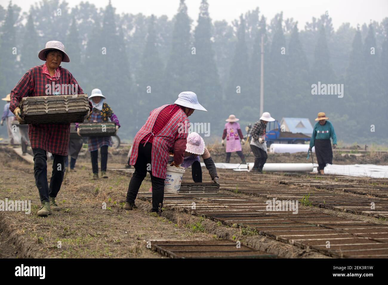 Farmers sow in the field at a local farm, Taizhou city, east China's ...