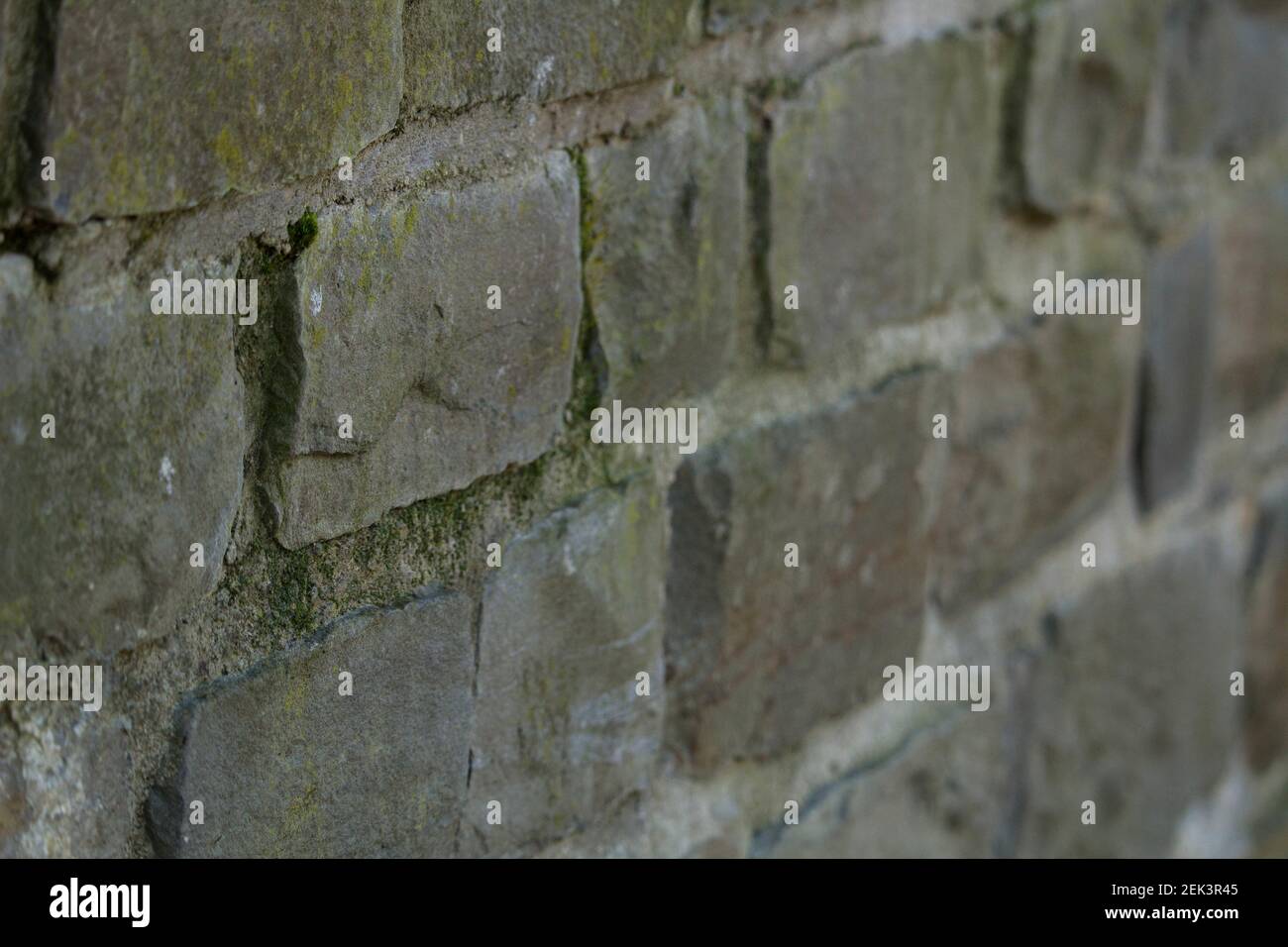 Overgrown cement hi-res stock photography and images - Alamy