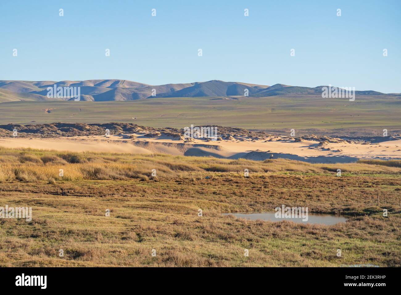 Guadalupe-Nipomo Dunes national wildlife reserve, California Stock ...