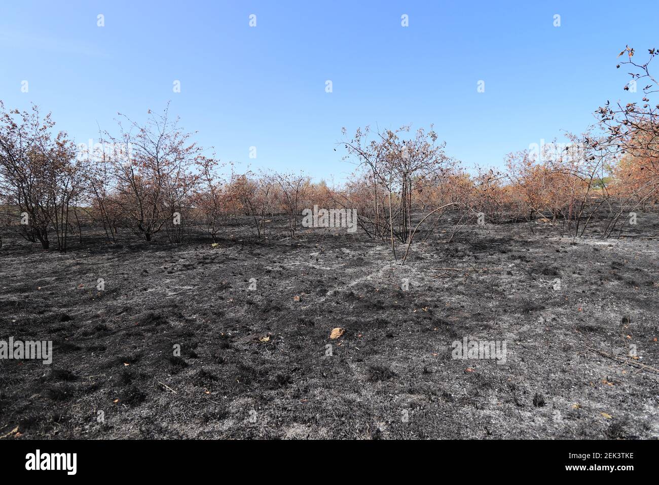 Dark scorched burnt ground hi-res stock photography and images - Alamy