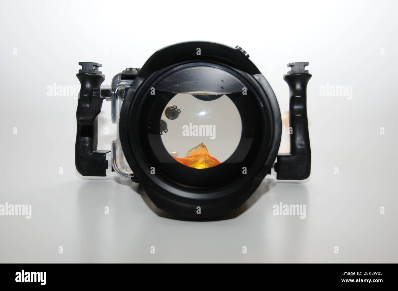 Underwater camera filled with water and a goldfish swimming around ...