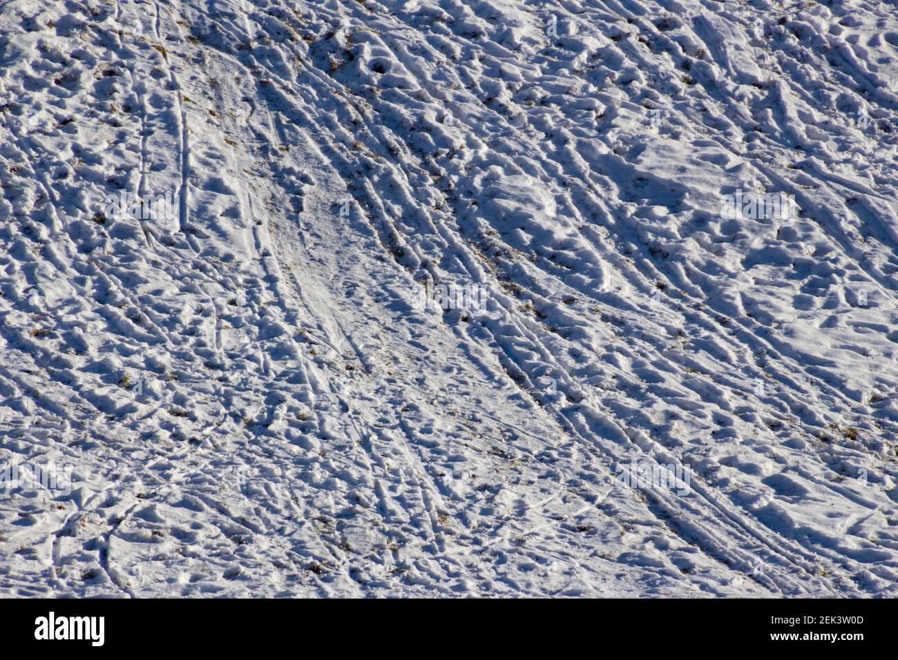 Many footprints, ski and sled tracks on a slope in the snow Stock Photo ...