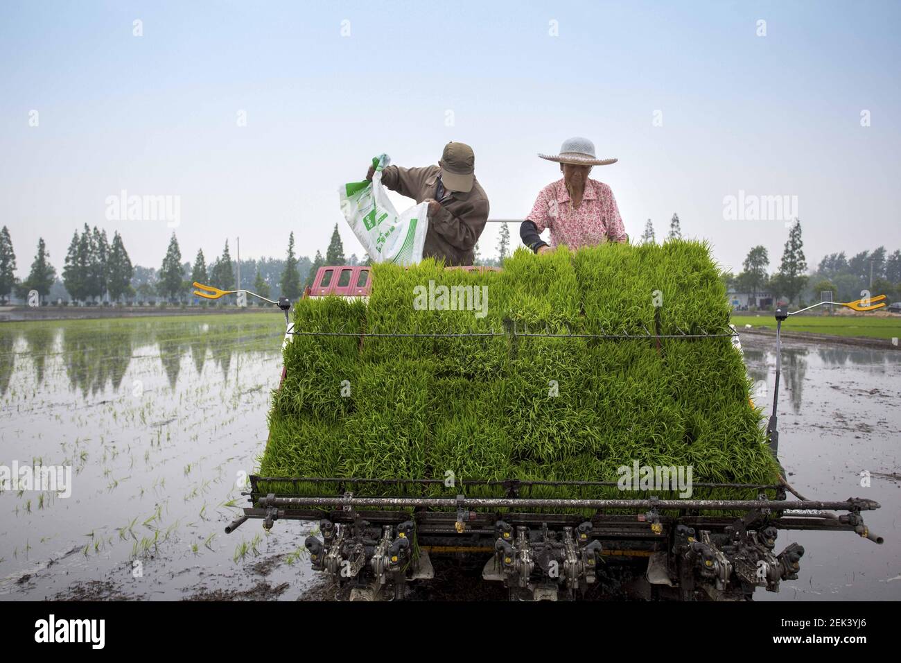 Farmers operate multifunctional rice transplanter in a field in Taizhou ...