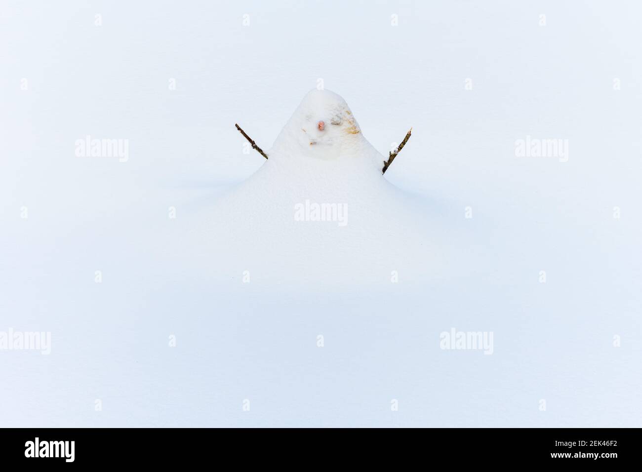 Little snowman in the snowy mountain in winters. France Stock Photo - Alamy
