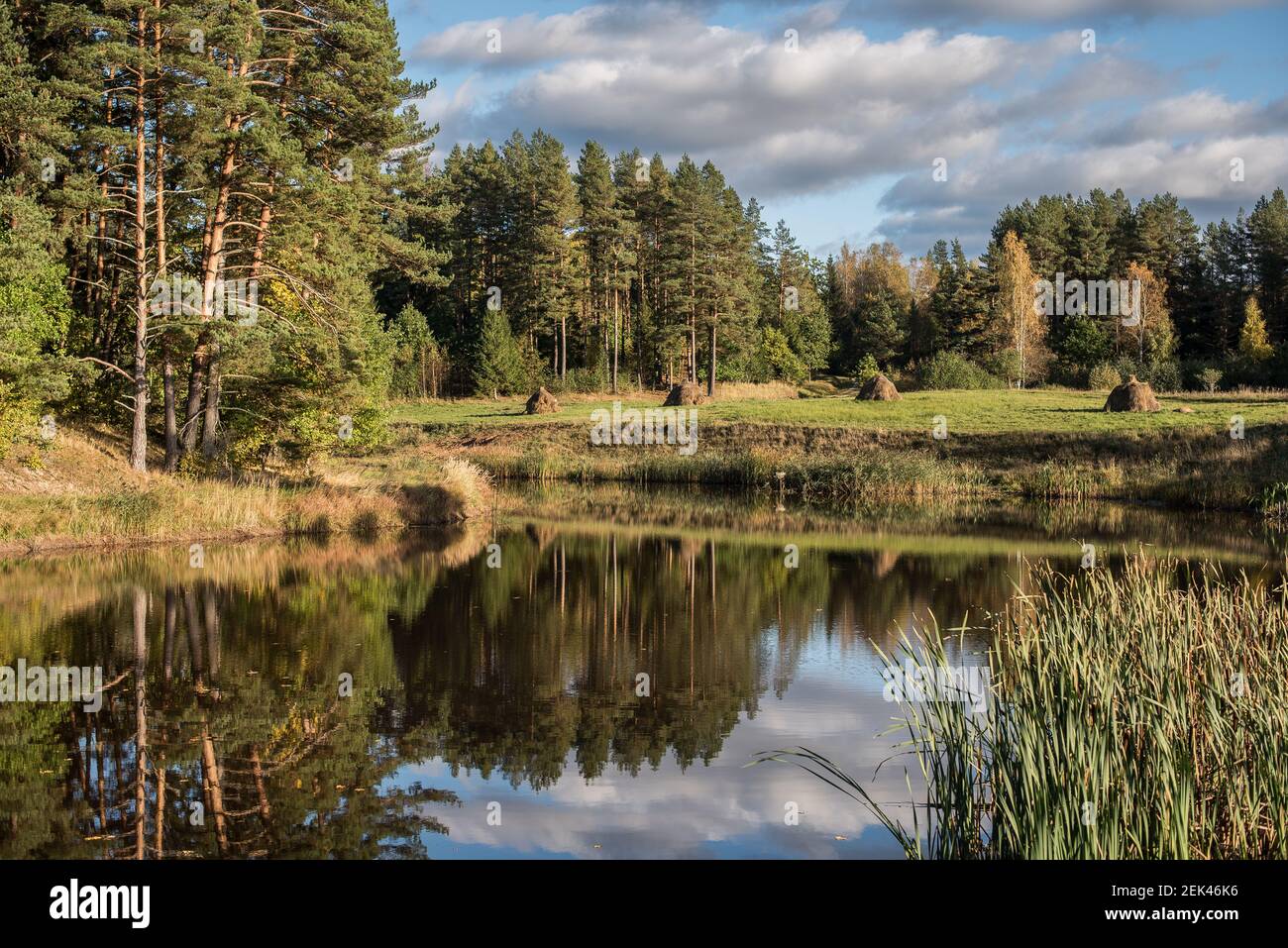 A view of the small country pond, Latvia Stock Photo - Alamy