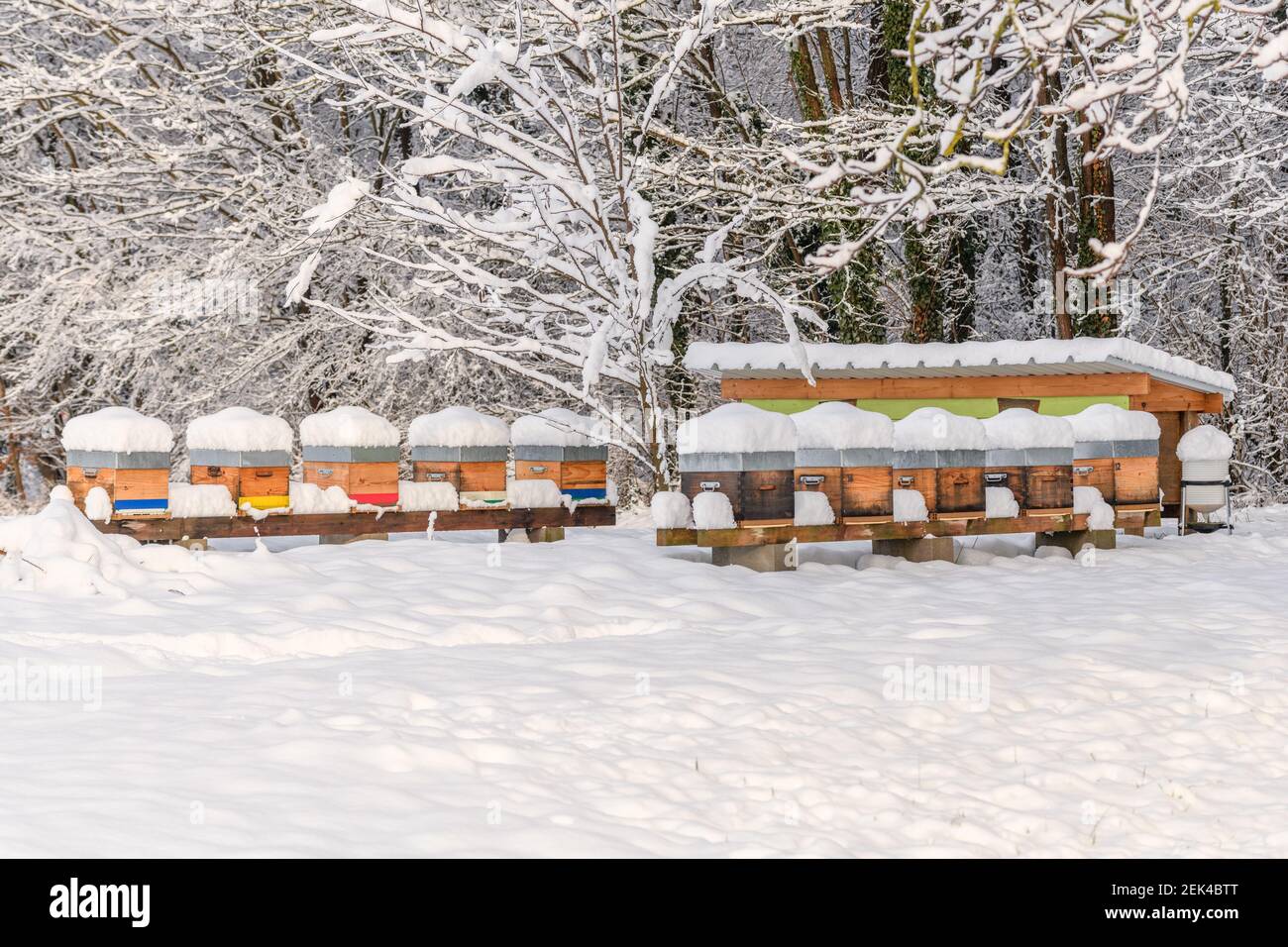 Beehives in apiary covered with snow in wintertime in France Stock ...