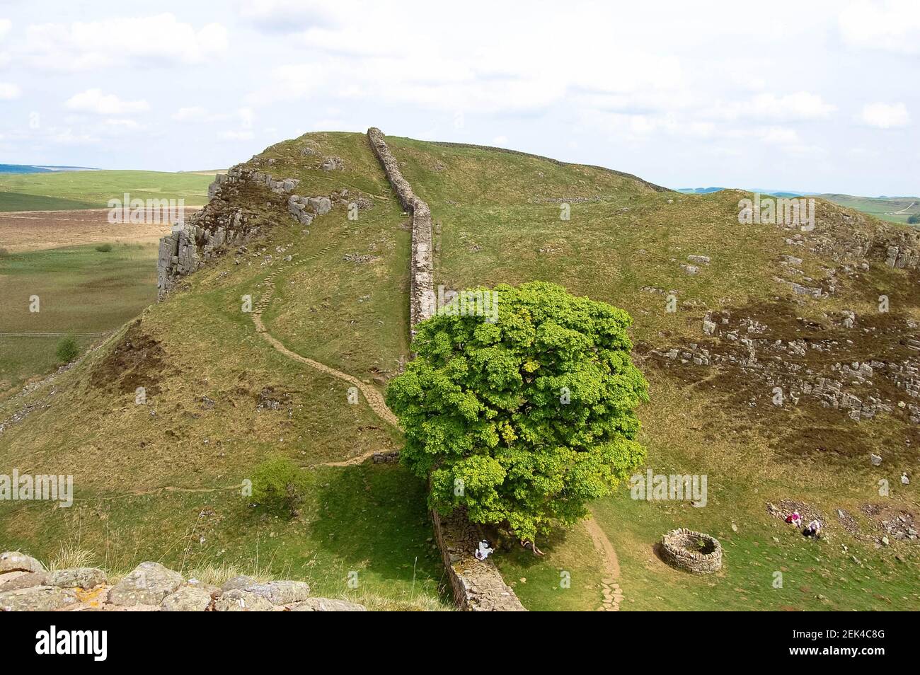 Hadrians wall Robin Hoods tree Sycamore Gap tree famous Robin Hoods ...