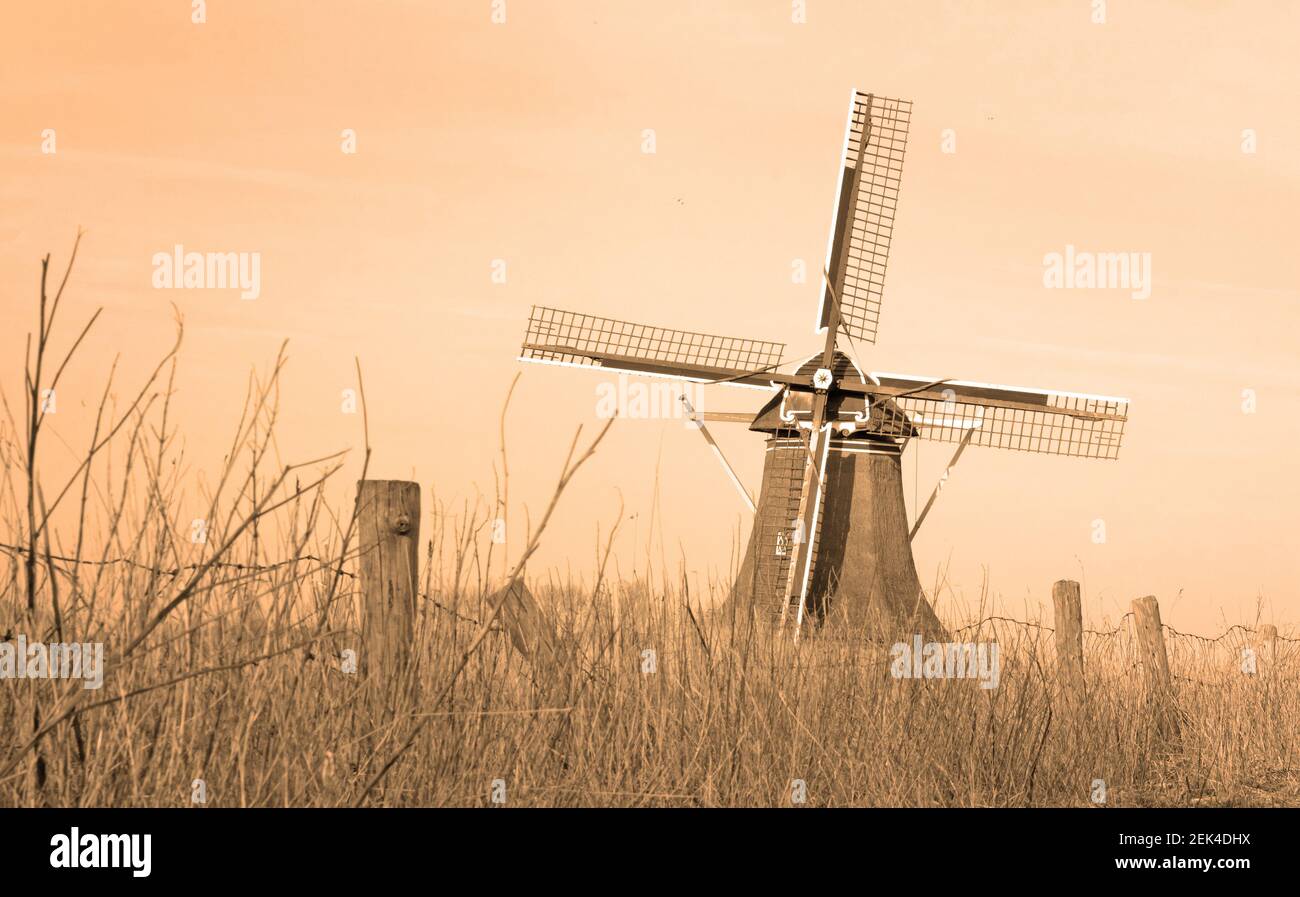 Old windmill in the Netherlands, catching dutch wind Stock Photo - Alamy