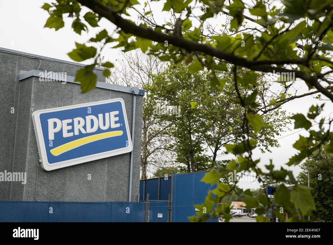 A logo sign outside of a Perdue Farms poultry processing plant in ...