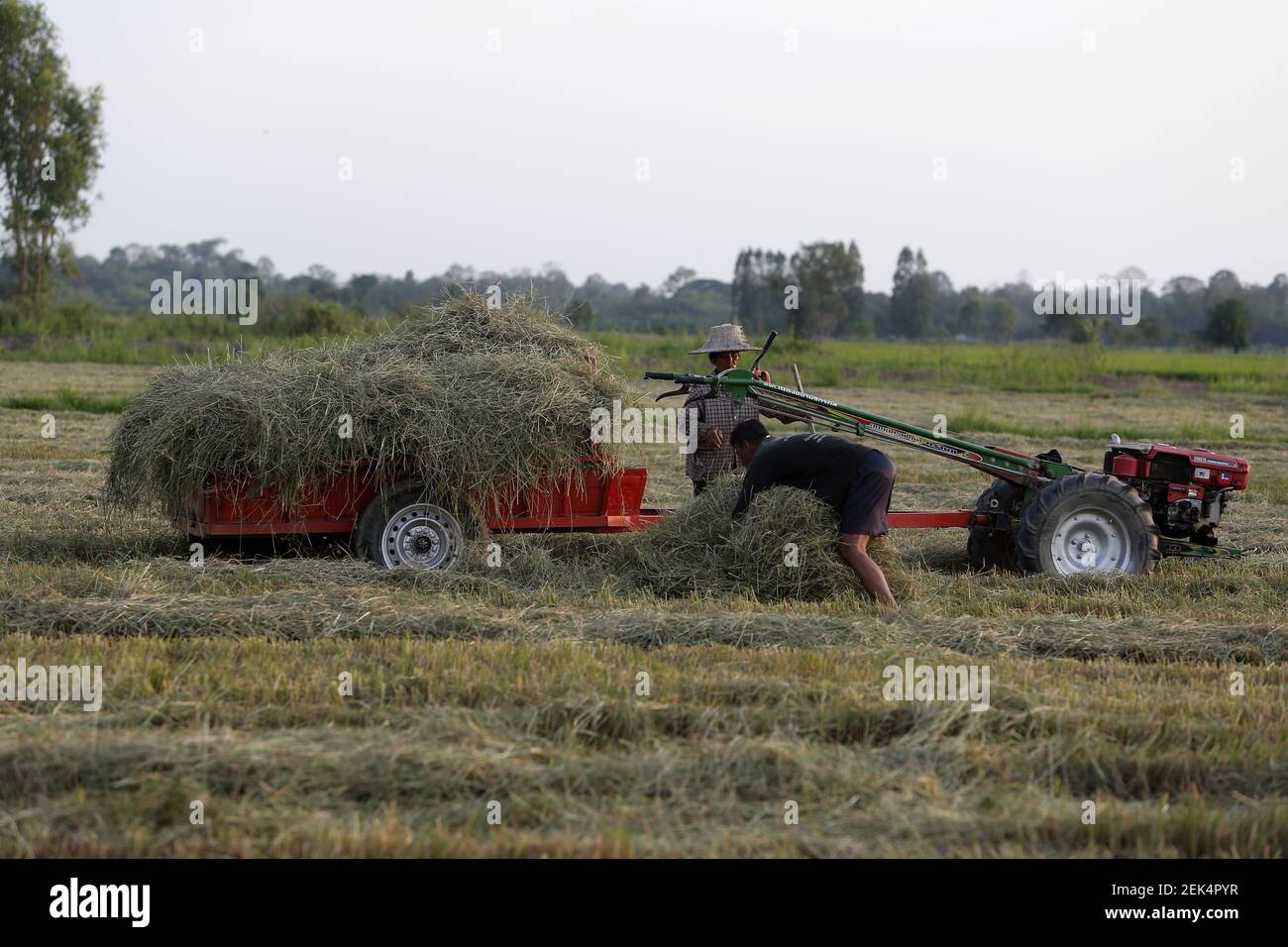 Thai farmers load straw onto a motorized plough at a rice field in ...