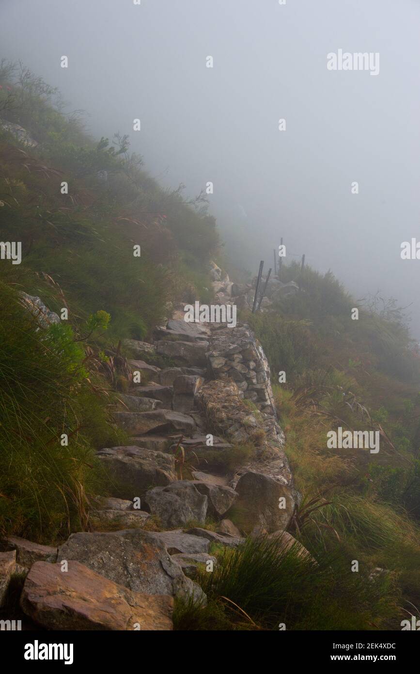foggy footpath on platteklip gorge, table mountain, cape town, south ...