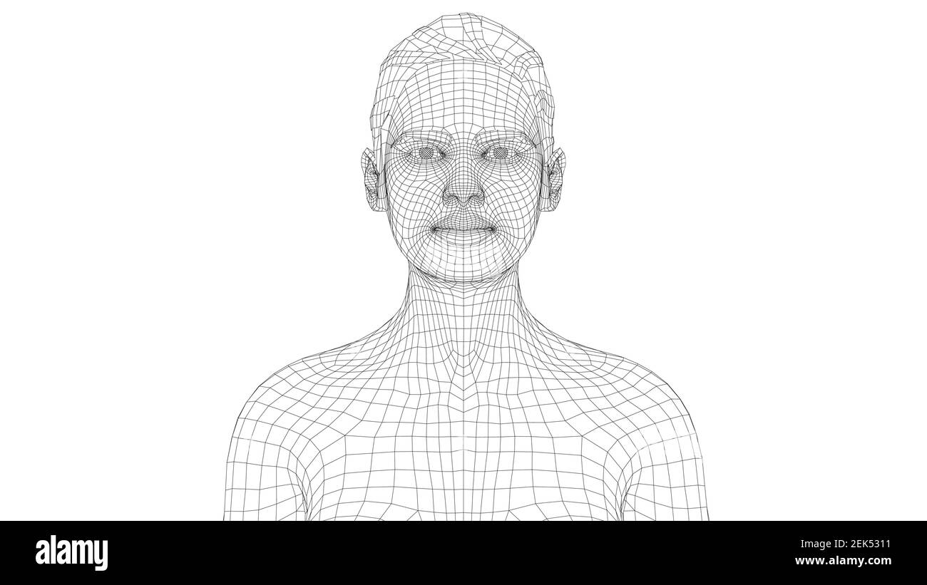 Wireframe portrait of a young beautiful girl Stock Vector Image & Art ...